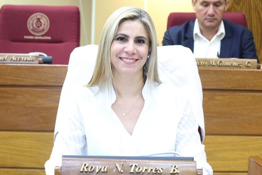 H. Cámara de Diputados del Paraguay